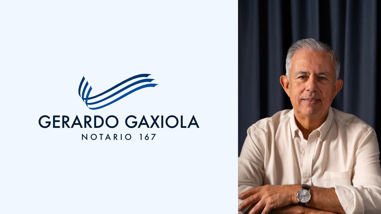 Notario 167 · Sociedad Anónima, principales características